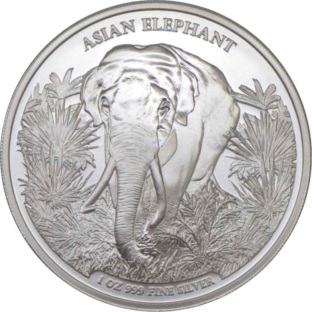 Kambodia Big Five Asian Elefant 1. Ausgabe 2023 1 oz Silber, 89,61