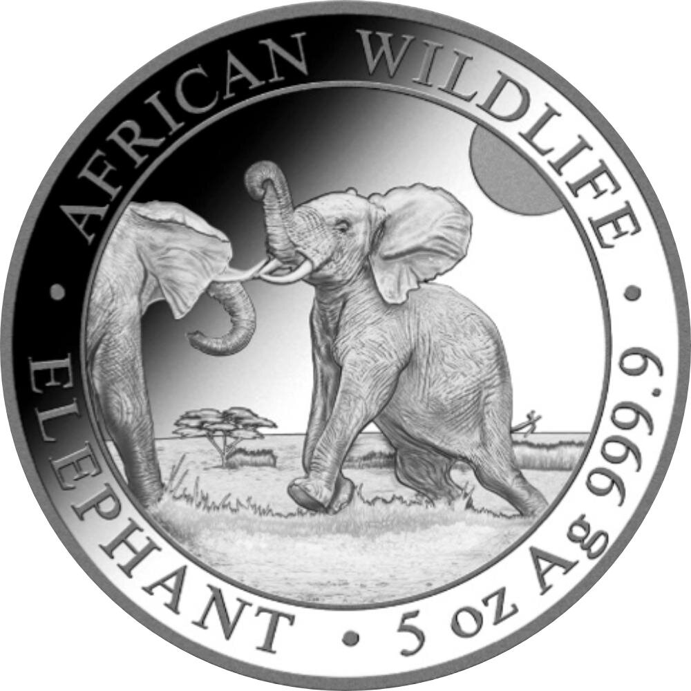 Somalia Elefant 2024 5 oz Silber, 295,08