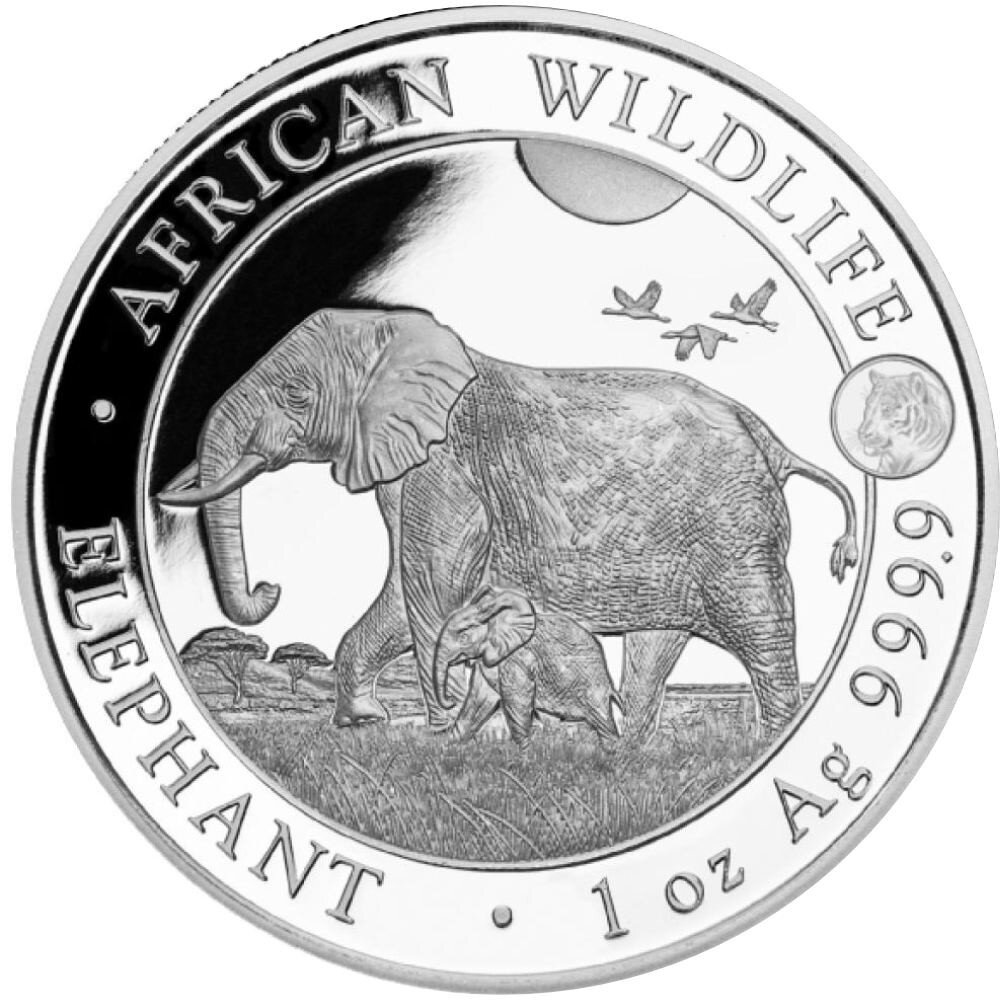 Somalia Elefant 2022 1 oz Silber | incl. Münzkapsel, 60,60